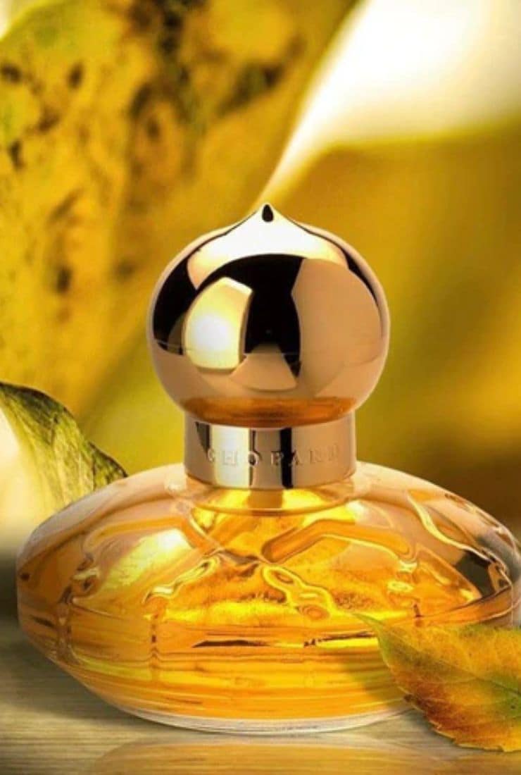 3 profumi che trovi da Acqua e Sapone che dovrebbero costare almeno il ...